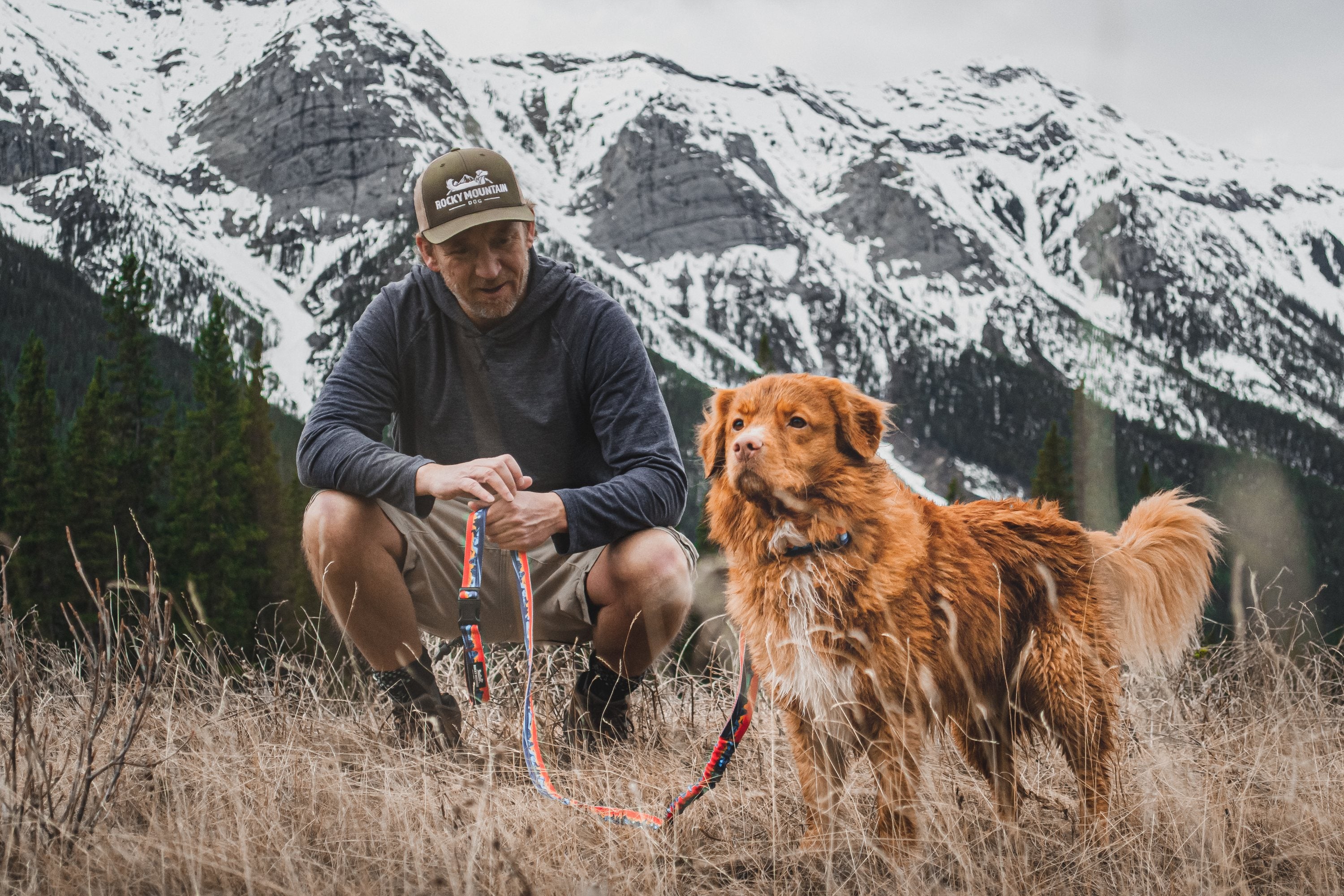 The Rocky Mountain Collection is Here | Rocky Mountain Dog