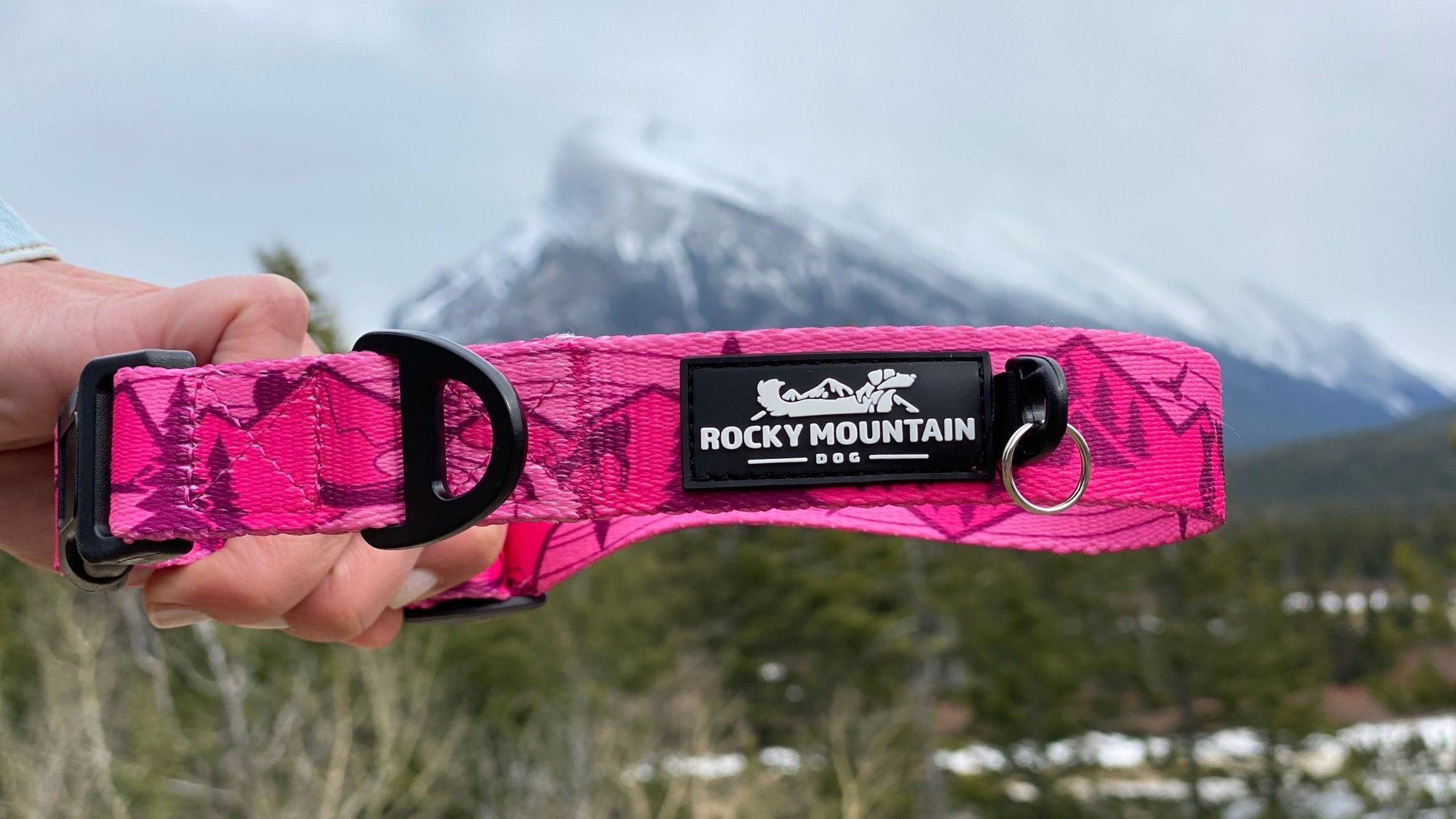 Dog Collars | Rocky Mountain Dog
