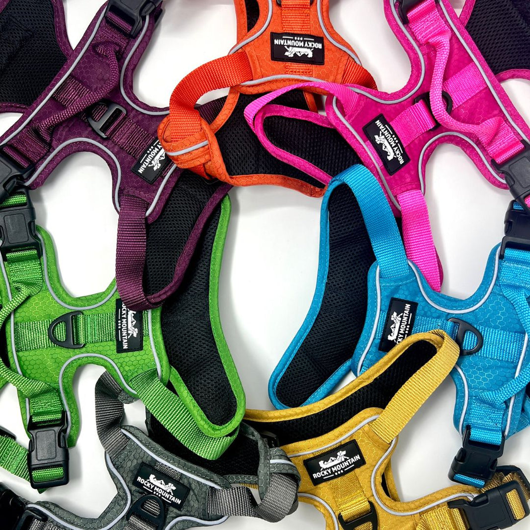Summit All-Terrain Dog Harness for Adventures | Rocky Mountain Dog