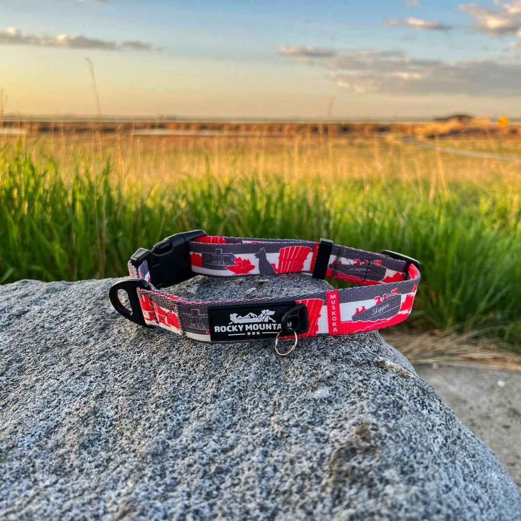 Durable Dog Collars Made for Adventure | Rocky Mountain Dog