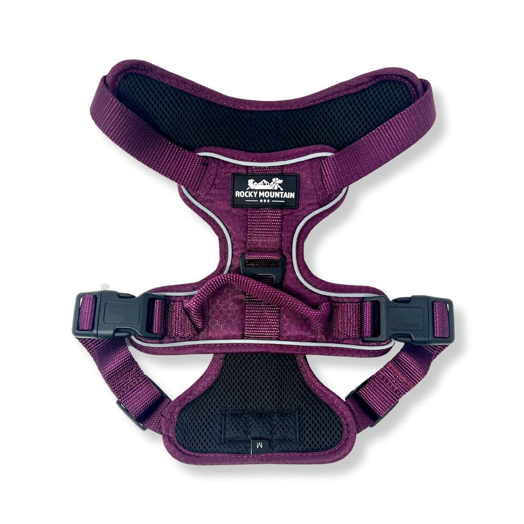 Summit All-Terrain Dog Harness for Adventures | Rocky Mountain Dog