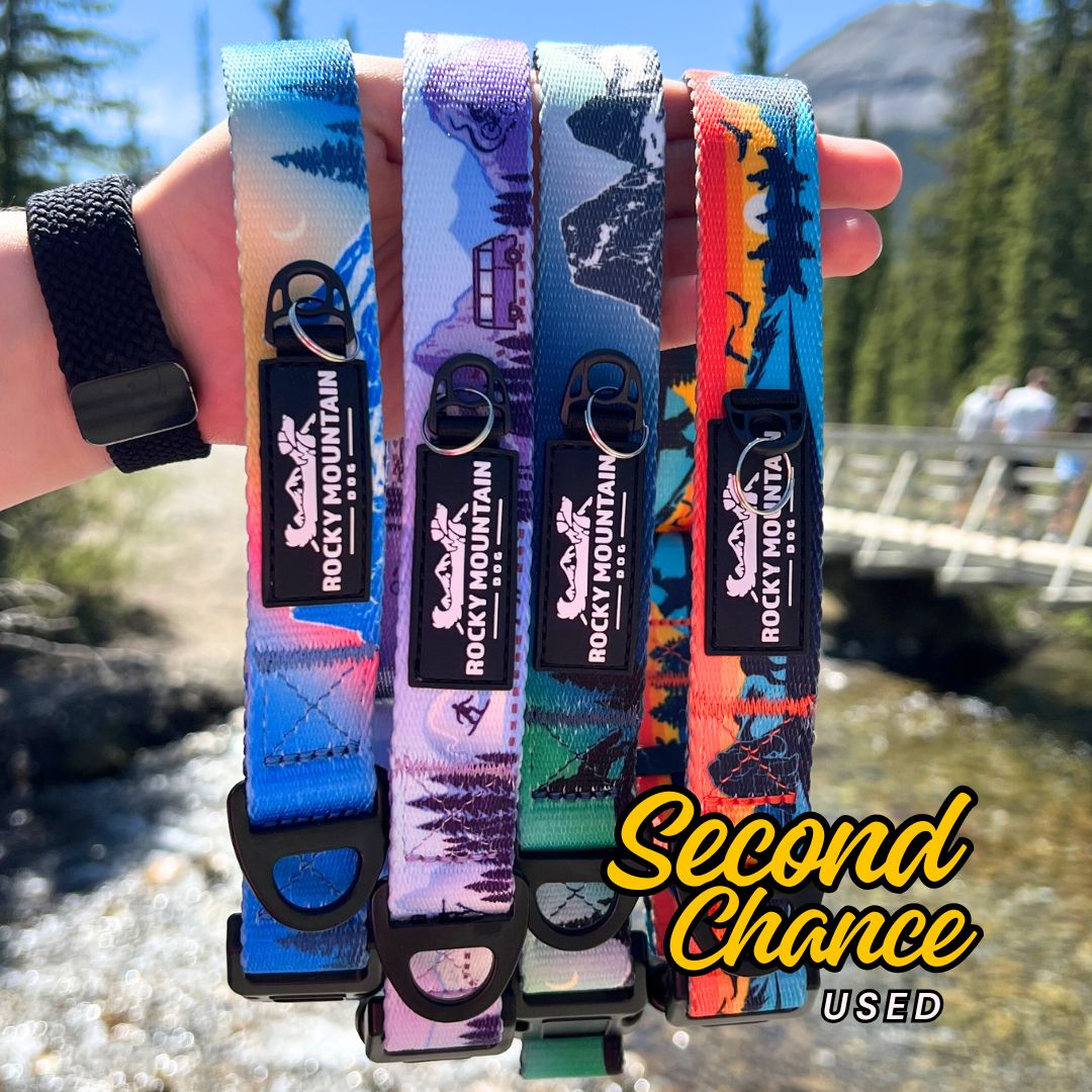 (Used) Alpine Collars – Rocky Mountain Dog