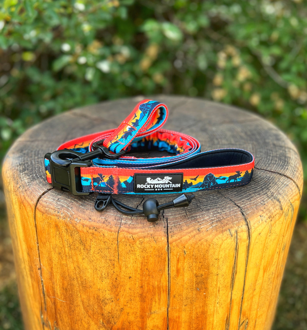 Hands-Free Adjustable Outdoor Dog Leashes | Rocky Mountain Dog