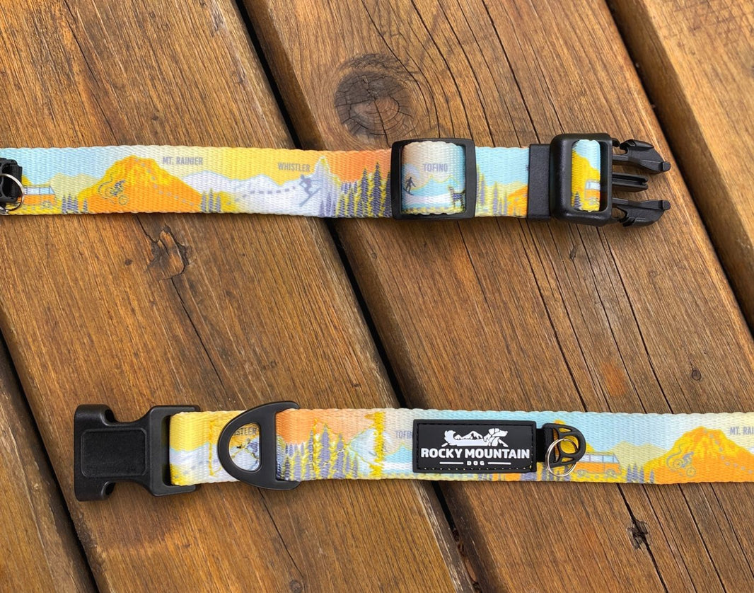 Durable Dog Collars Made for Adventure | Rocky Mountain Dog